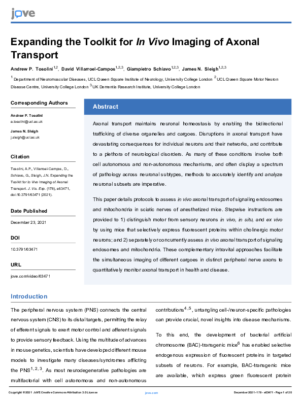 (PDF) Expanding the Toolkit for In Vivo Imaging of Axonal Transport