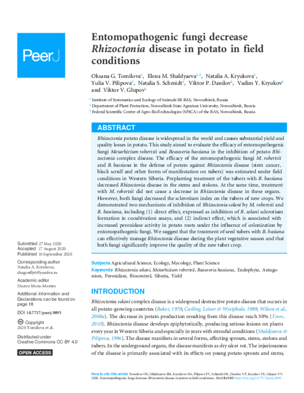 (PDF) Entomopathogenic fungi decreaseRhizoctoniadisease in potato in field conditions