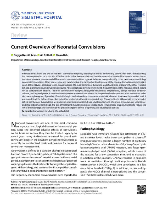 (PDF) Current overview at neonatal convulsions