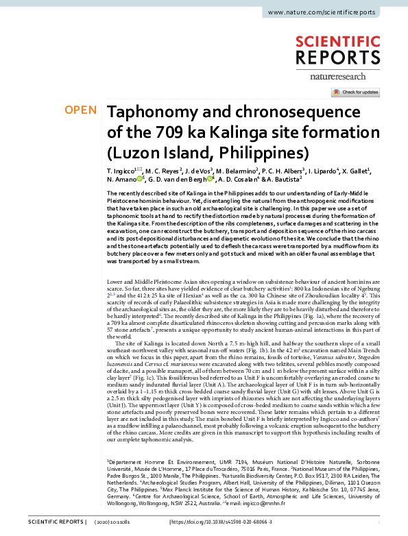 (PDF) Taphonomy and chronosequence of the 709 ka Kalinga site formation (Luzon Island, Philippines)
