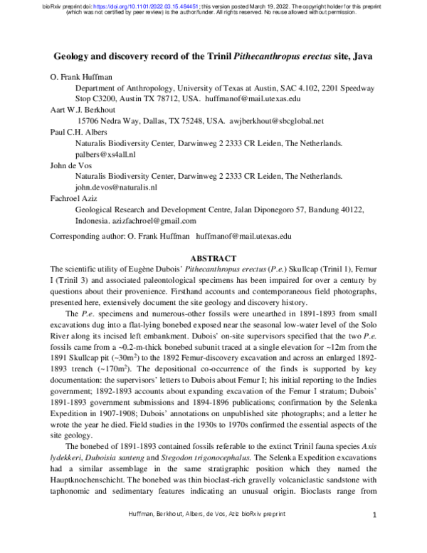 (PDF) Geology and discovery record of the Trinil Pithecanthropus ...