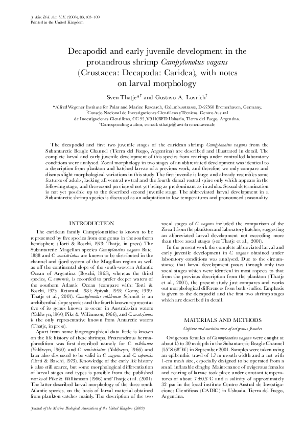 (PDF) Decapodid and early juvenile development in the protandrous ...