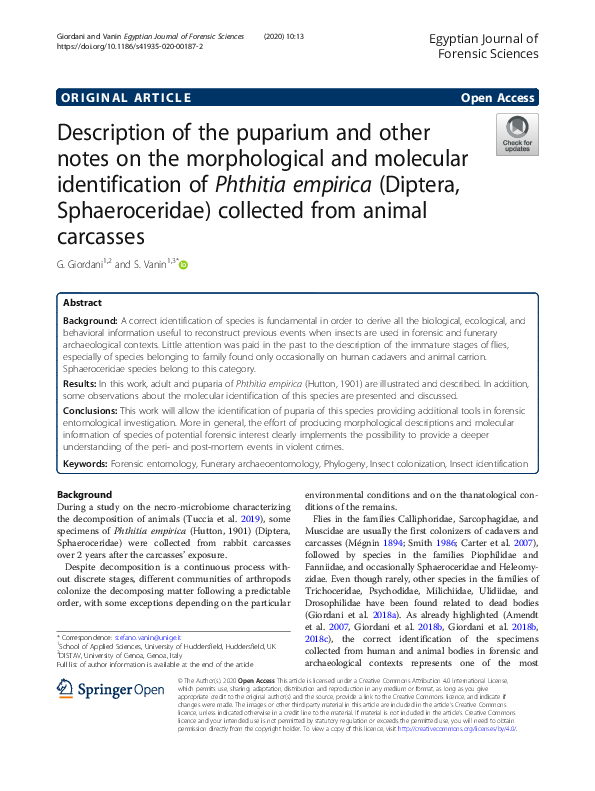 (PDF) Description of the puparium and other notes on the morphological ...