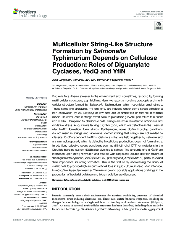 (PDF) Multicellular String-Like Structure Formation by Salmonella ...