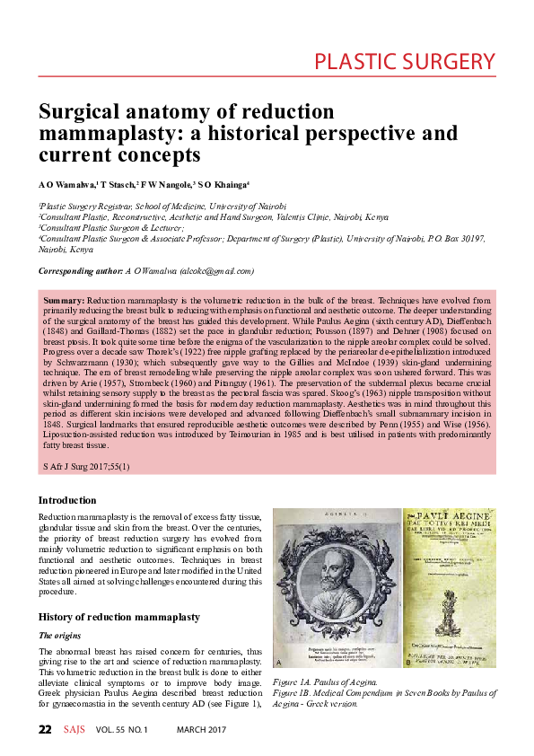 (PDF) Surgical anatomy of reduction mammaplasty: a historical ...