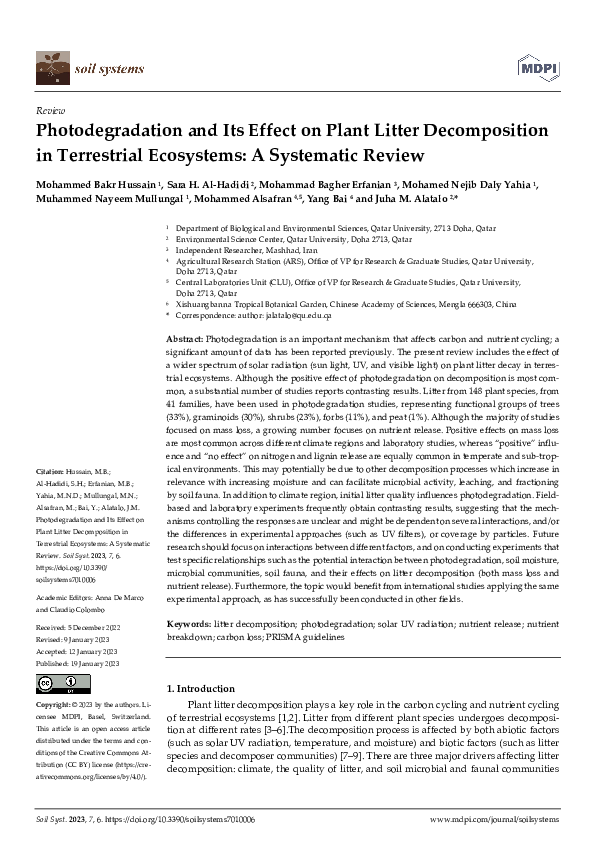 Photodegradation and Its Effect on Plant Litter Decomposition in ...