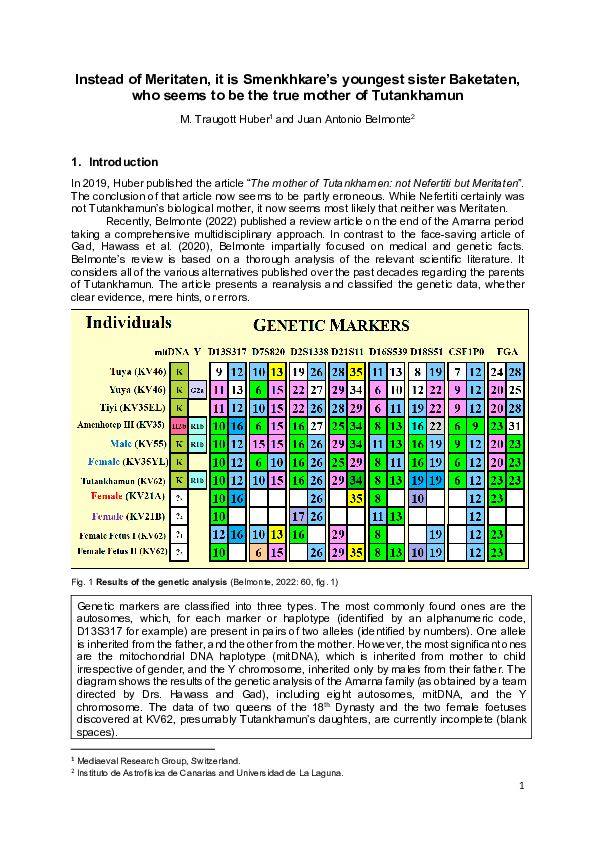 (PDF) Instead of Meritaten, it is Smenkhkare's youngest sister ...