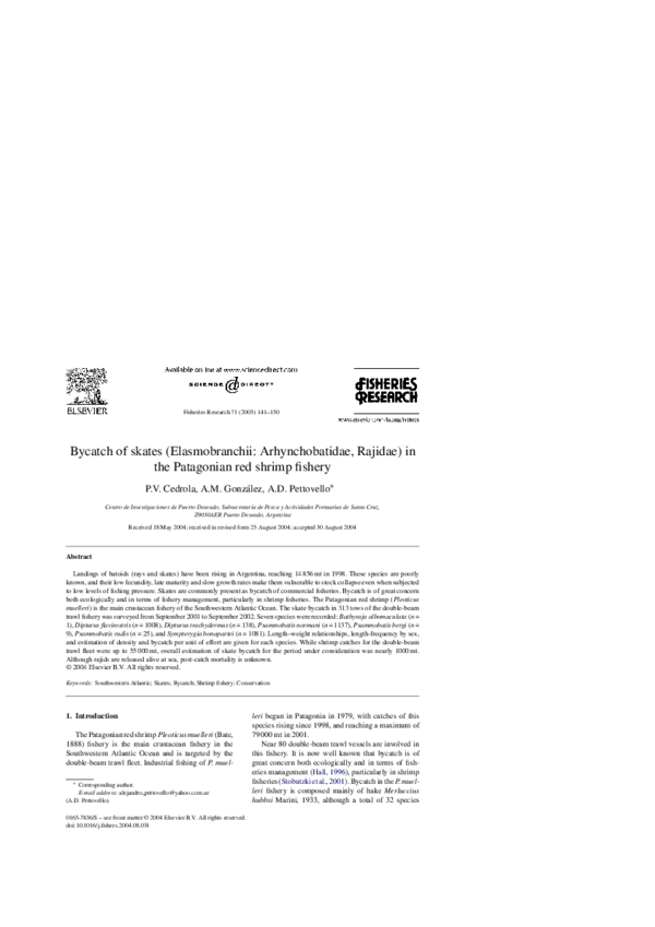 (PDF) Bycatch of skates (Elasmobranchii: Arhynchobatidae, Rajidae) in ...