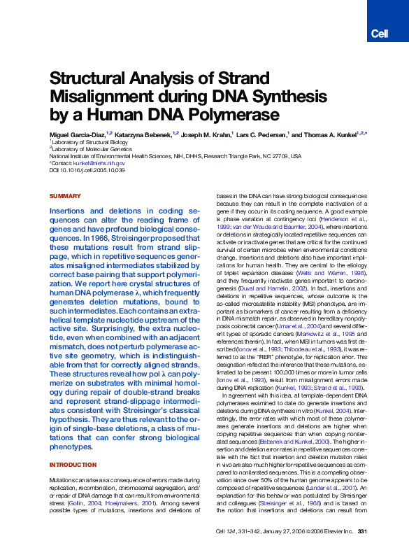 (PDF) Structural Analysis of Strand Misalignment during DNA Synthesis ...