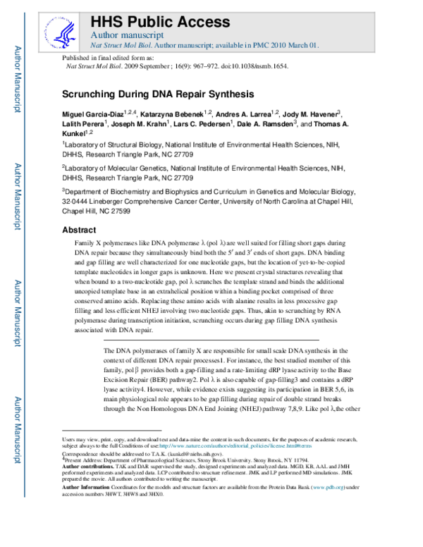 (PDF) Template strand scrunching during DNA gap repair synthesis by ...