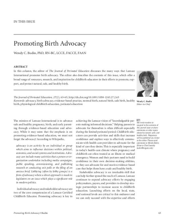 (PDF) Promoting Birth Advocacy