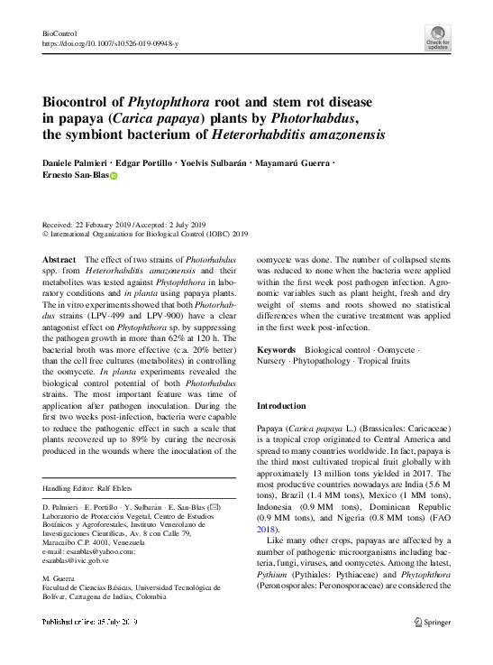 (PDF) Biocontrol of Phytophthora root and stem rot disease in papaya ...
