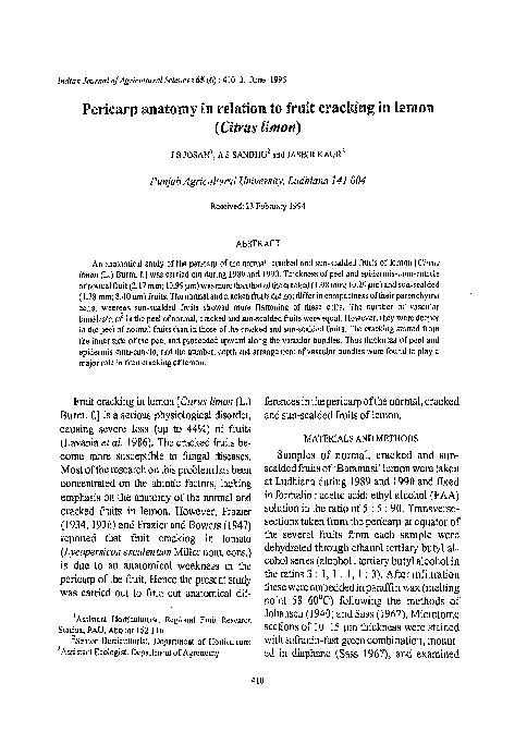 (PDF) Pericarp anatomy in relation to fruit cracking in lemon (Citrus ...