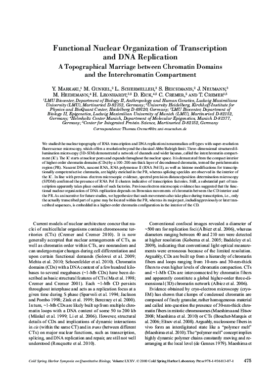 (PDF) Functional Nuclear Organization of Transcription and DNA ...