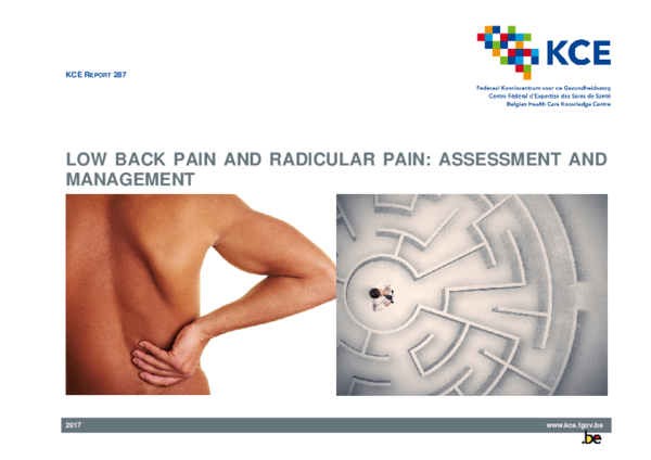 (PDF) Low back pain and radicular pain : assessment and management