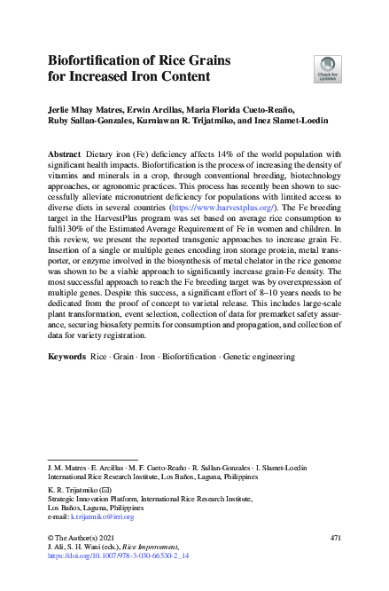 (PDF) Biofortification of Rice Grains for Increased Iron Content