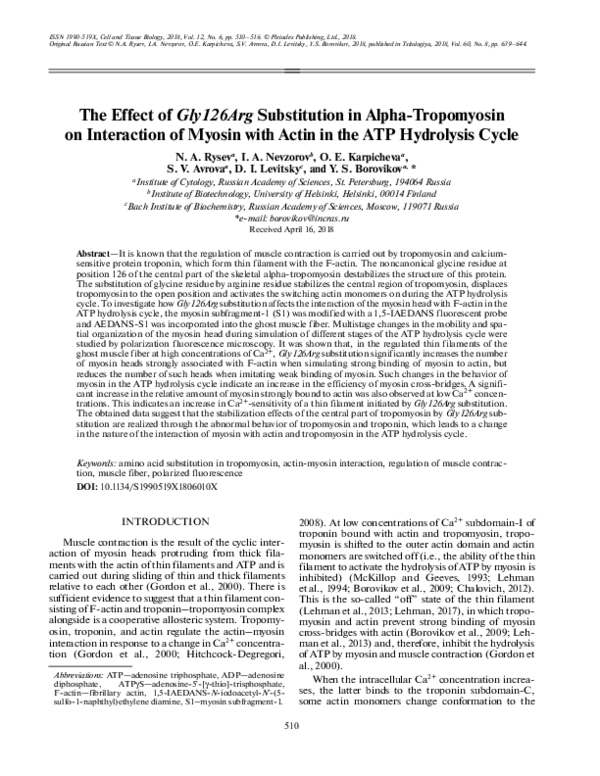 (PDF) THE EFFECT OF THE Gly126Arg SUBSTITUTION IN ALPHA-TROPOMYOSIN ON ...