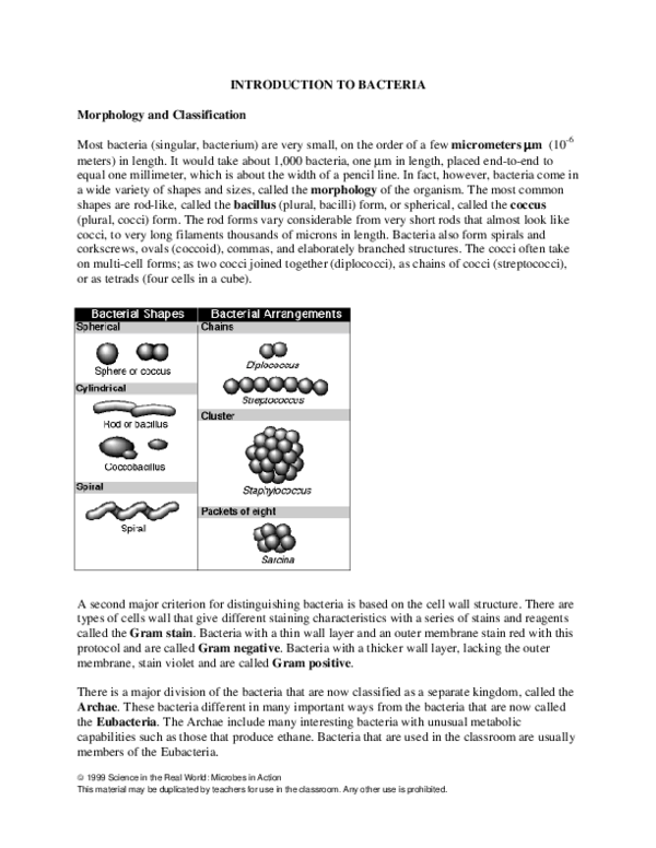 (PDF) INTRODUCTION TO BACTERIA