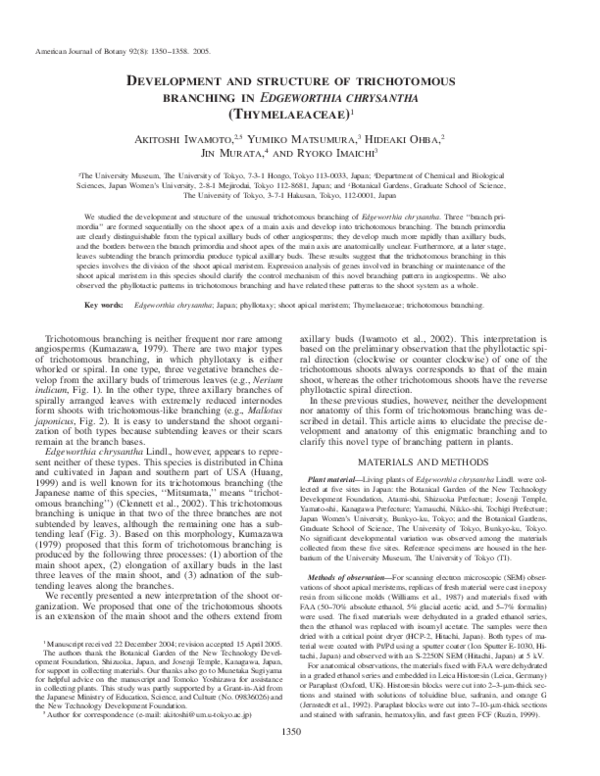 (PDF) Development and structure of trichotomous branching in ...