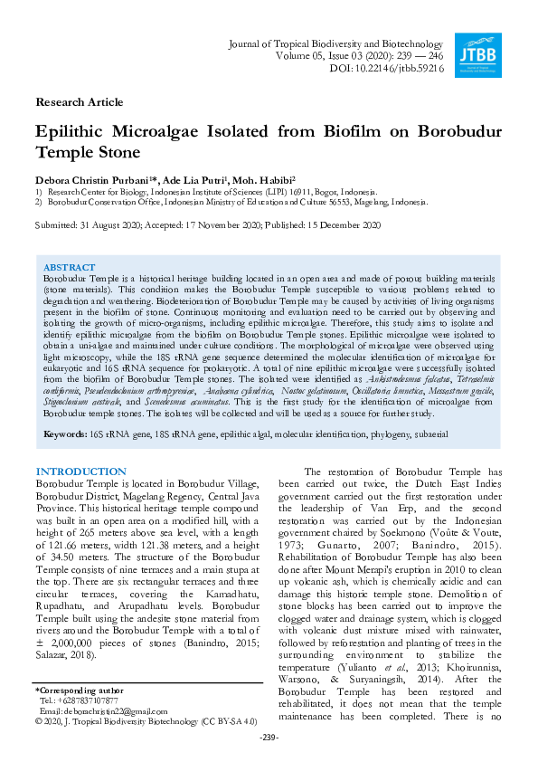 (PDF) Epilithic Microalgae Isolated from Biofilm on Borobudur Temple ...
