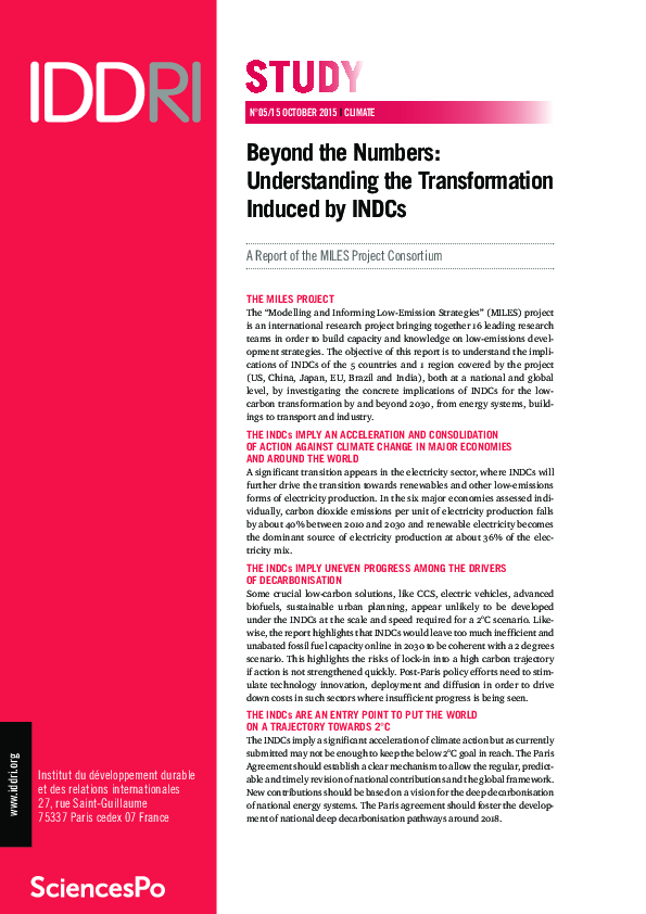 (PDF) Beyond the Numbers: Understanding the Transformation Induced by INDCs