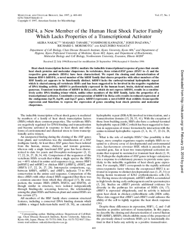 (PDF) HSF4, a New Member of the Human Heat Shock Factor Family Which ...