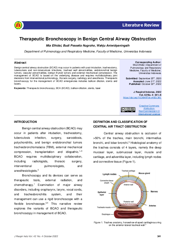 (PDF) Therapeutic Bronchoscopy in Benign Central Airway Obstruction
