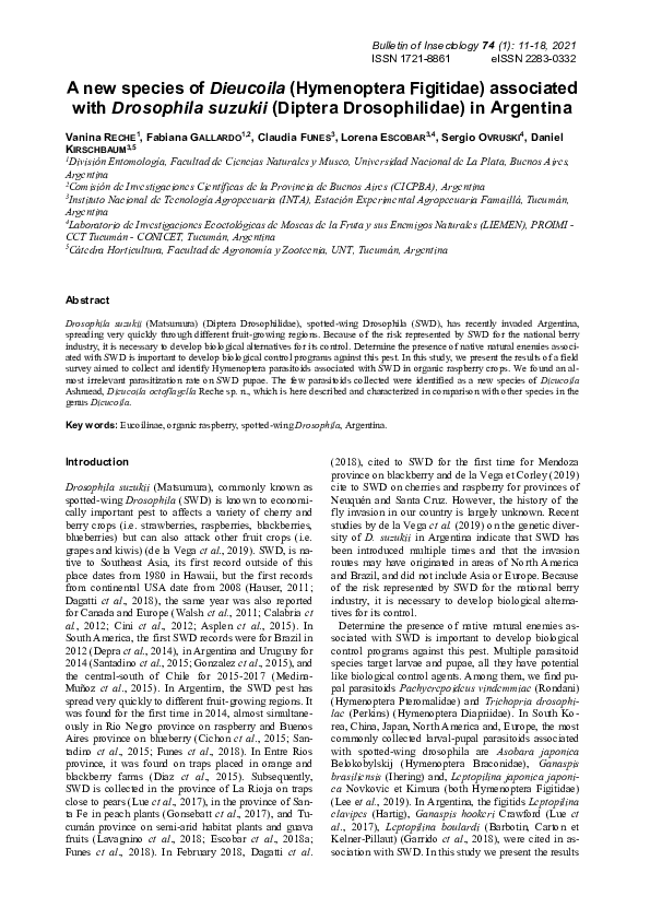 (PDF) A new species of Dieucoila (Hymenoptera Figitidae) associated with Drosophila suzukii ...