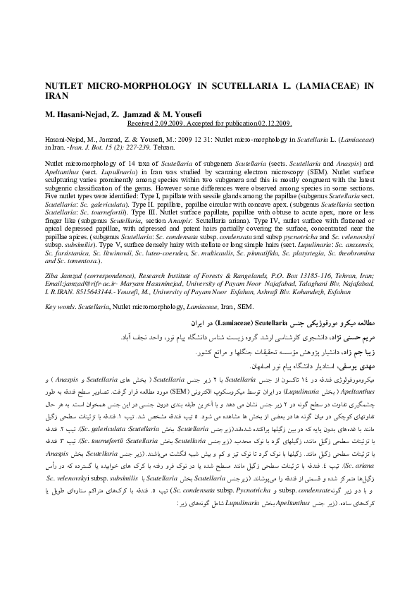 (PDF) Nutlet Micro-Morphology in Scutellaria L. (Lamiaceae) in Iran