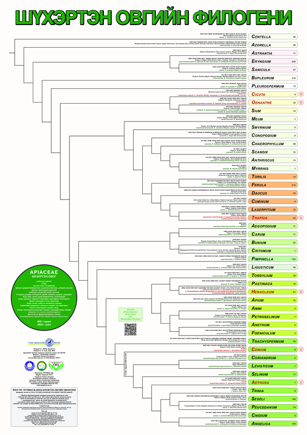 (PDF) Plant Phylogeny Posters on ResearchGate