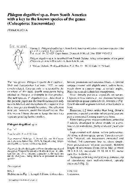 (PDF) Phlegon degallieri sp.n. from South America with a key to the ...