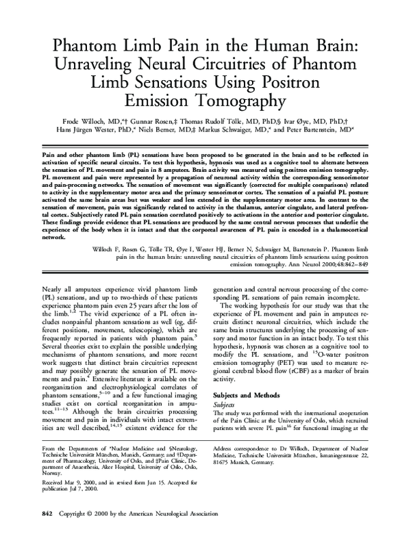 (PDF) Phantom limb pain in the human brain: Unraveling neural circuitries of phantom limb ...