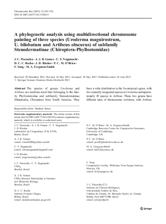 (PDF) A phylogenetic analysis using multidirectional chromosome ...