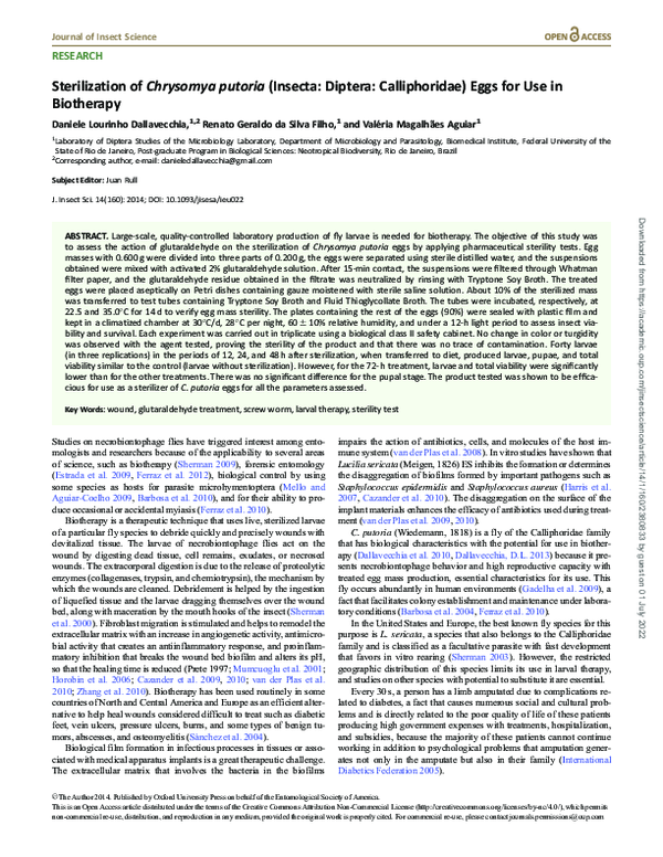 Sterilization of Chrysomya putoria (Insecta: Diptera: Calliphoridae ...