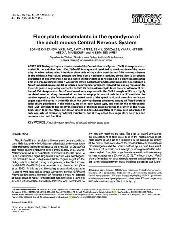 (PDF) Floor plate descendants in the ependyma of the adult mouse ...