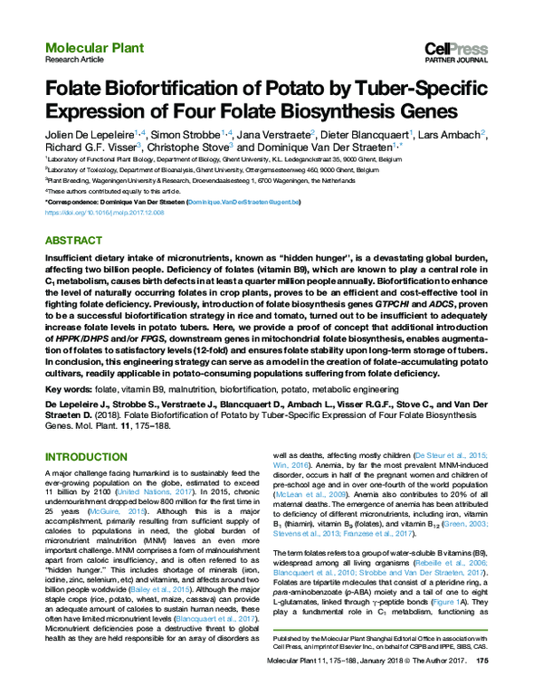 (PDF) Folate Biofortification of Potato by Tuber-Specific Expression of ...
