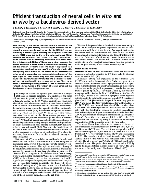 (PDF) Efficient transduction of neural cells in vitro and in vivo by a ...