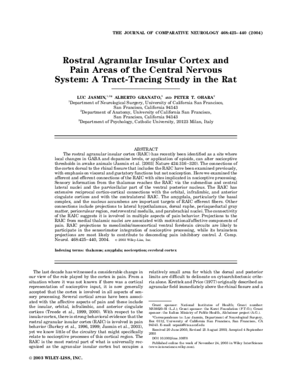 (PDF) Rostral agranular insular cortex and pain areas of the central ...