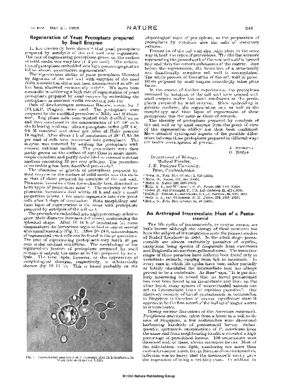 (PDF) Regeneration of Yeast Protoplasts prepared by Snail Enzyme