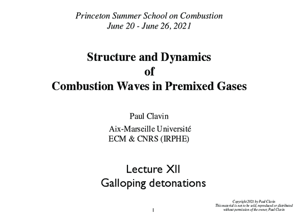 (PDF) Structure and Dynamics of Combustion Waves in Premixed Gases