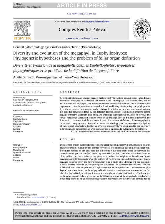 (PDF) Diversity and evolution of the megaphyll in Euphyllophytes ...