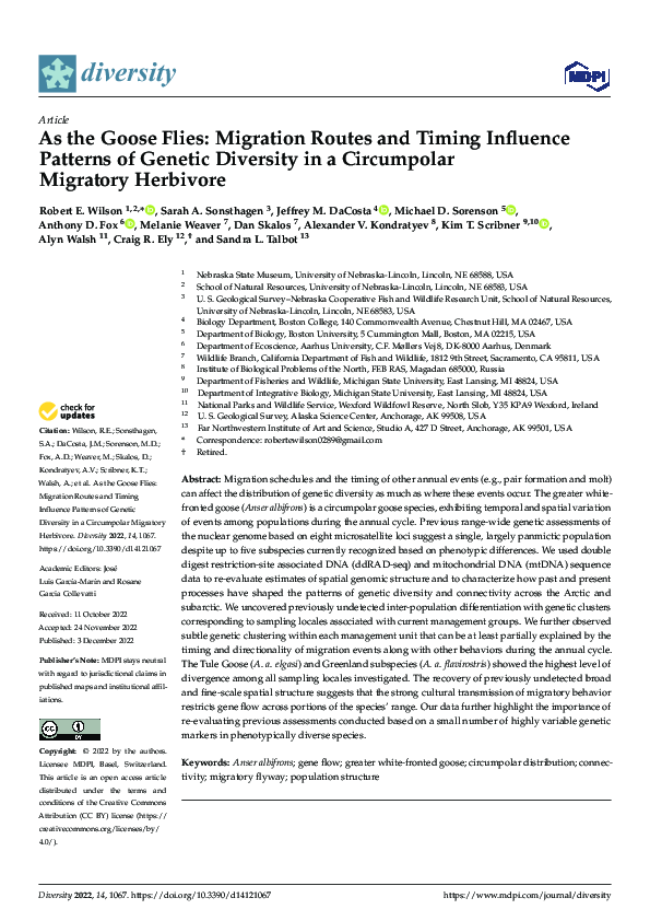 (PDF) As the Goose Flies: Migration Routes and Timing Influence ...