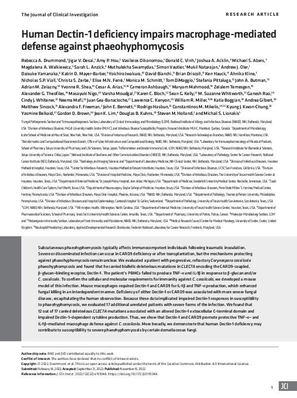 (PDF) Human Dectin-1 deficiency impairs macrophage-mediated defense ...