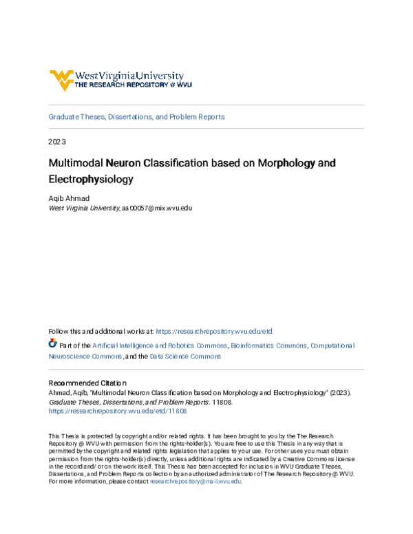 (PDF) Multimodal Neuron Classification based on Morphology and Electrophysiology