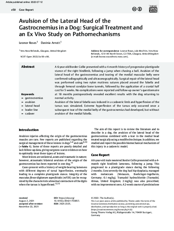 (PDF) Avulsion of the Lateral Head of the Gastrocnemius in a Dog ...