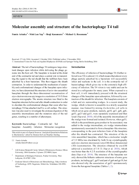 (PDF) Molecular assembly and structure of the bacteriophage T4 tail