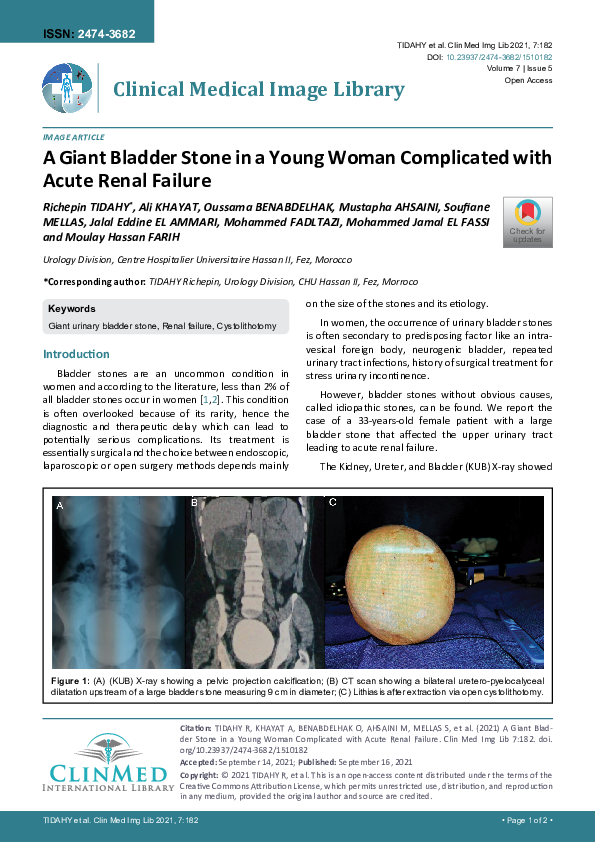 (PDF) A Giant Bladder Stone in a Young Woman Complicated with Acute ...