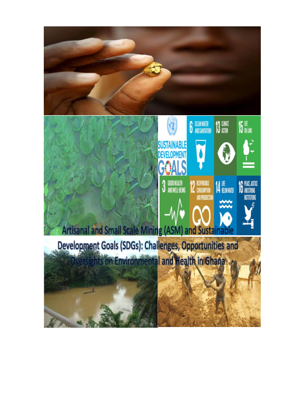 (PDF) Artisanal and small-scale mining (ASM) and the Sustainable Development Goals SDGs ...