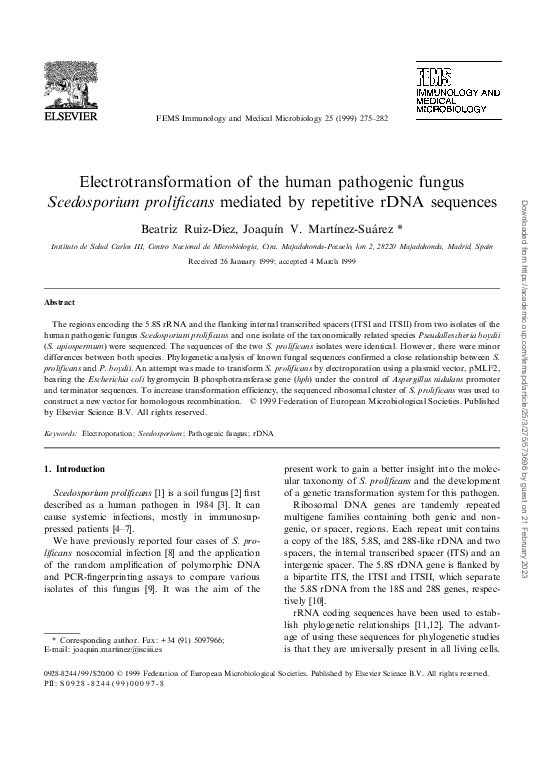 (PDF) Electrotransformation of the human pathogenic fungusScedosporium ...