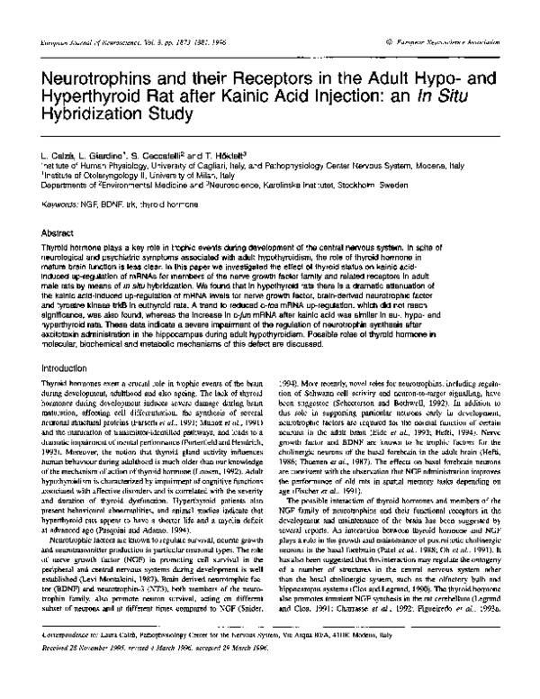 (PDF) Thyroid Hormone Effects on Neurotrophins in Rats